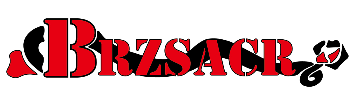 Amazon.com: BRZSACR