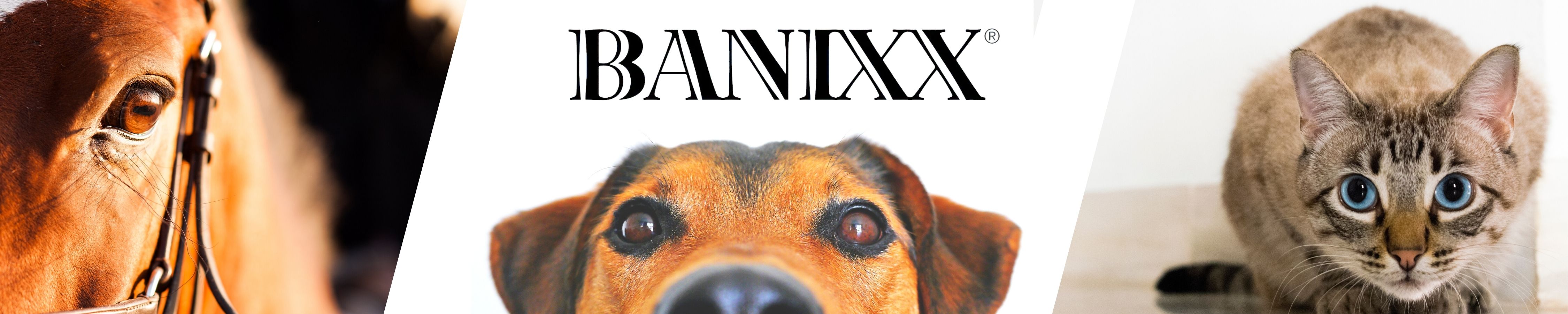 Amazon.com: BANIXX