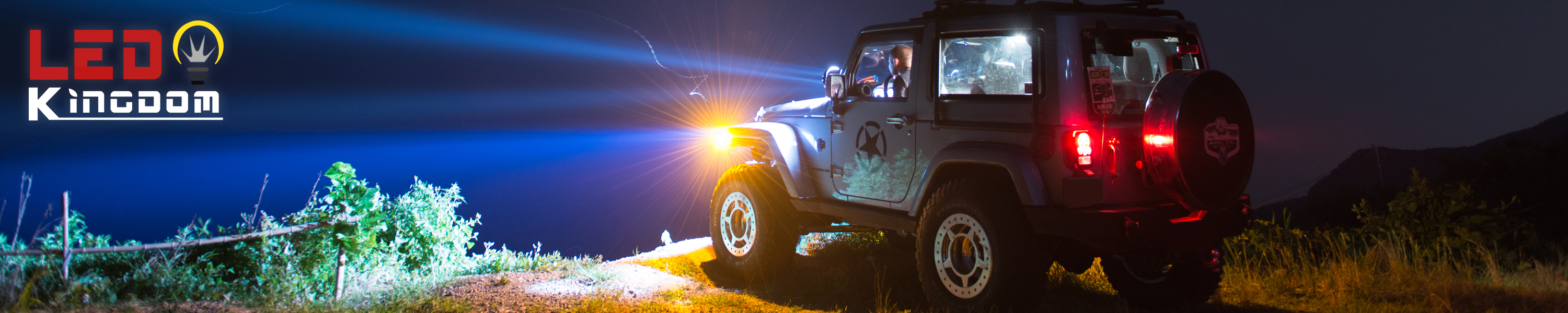 Amazon.com: LEDKINGDOMUS