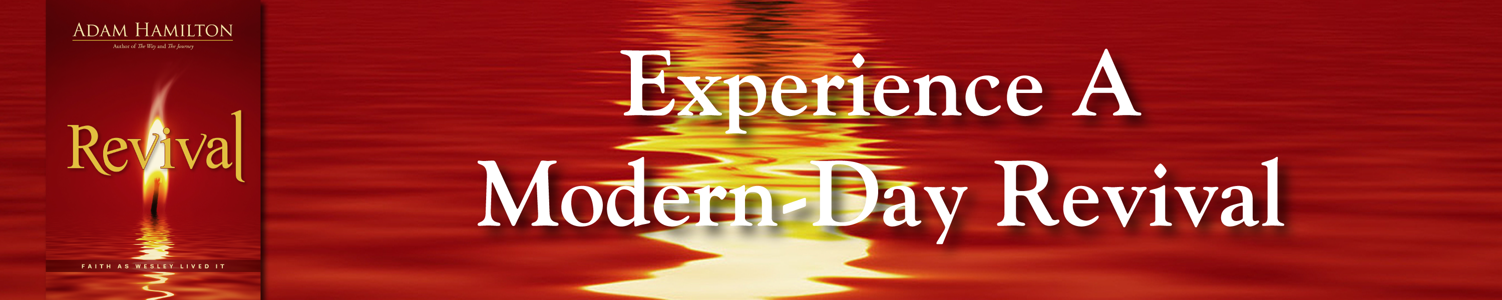 Amazon.com: Adam Hamilton: Revival