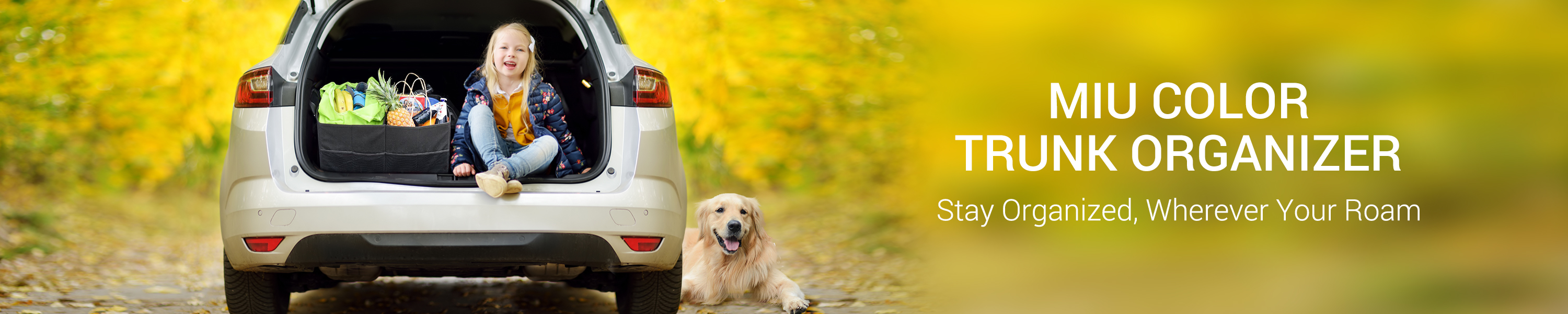 Amazon.com: MIU COLOR