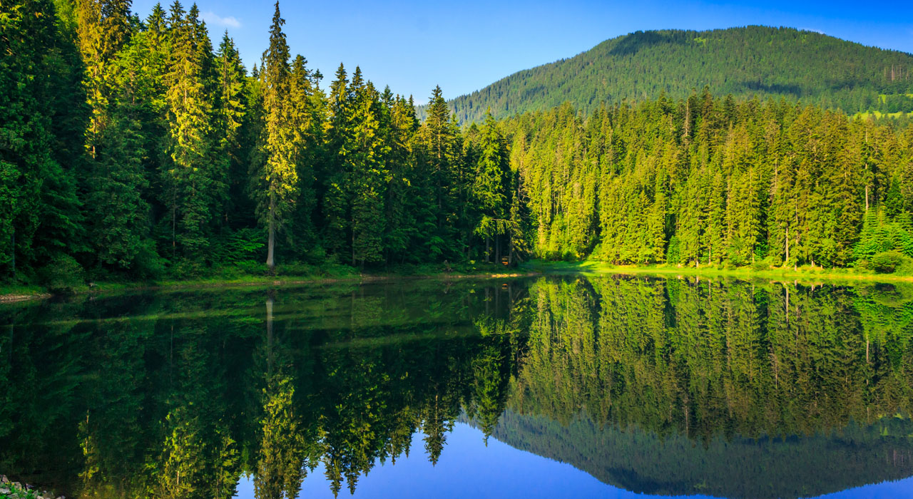 Amazon.com: Accell Clean