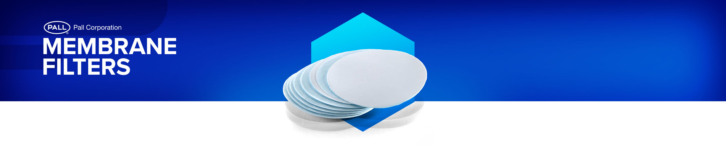 Amazon.com: PALL: Membrane Filter