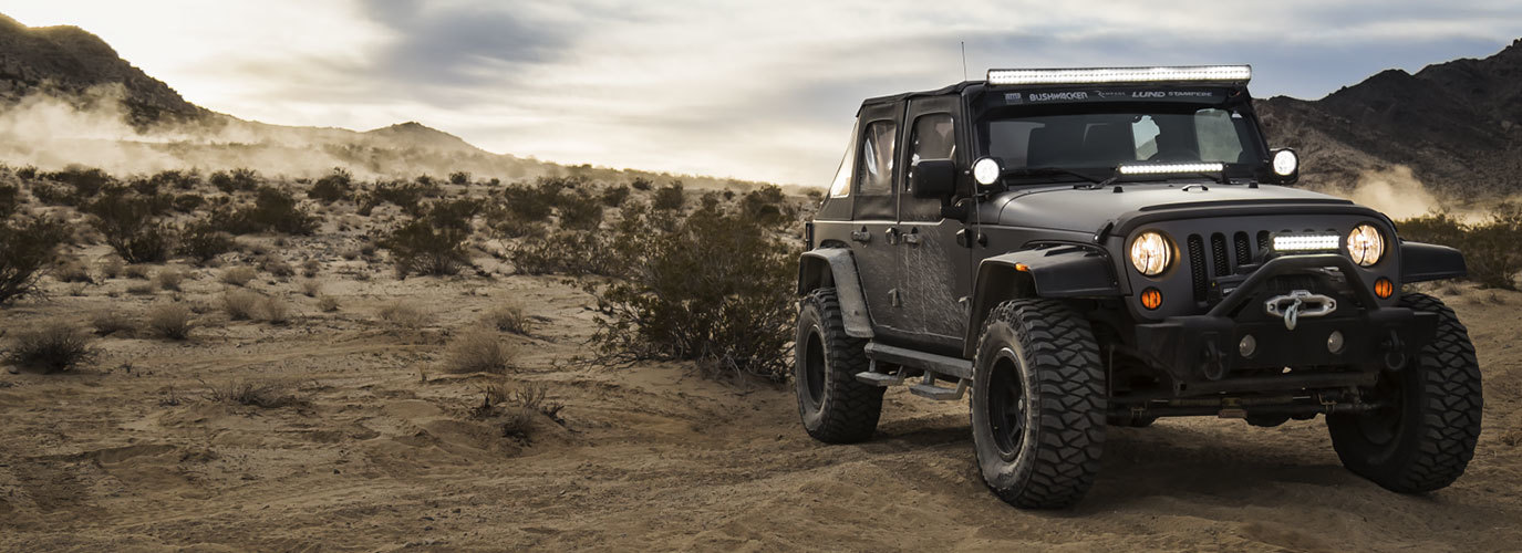 Amazon.com: Rampage Jeep Products