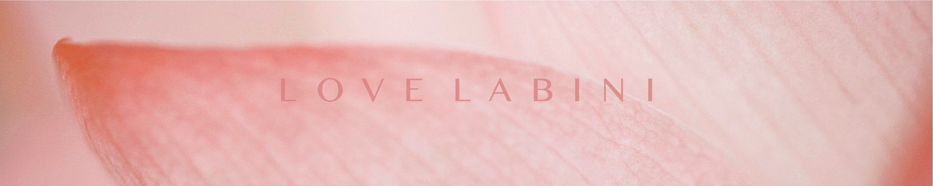 Amazon.com: LOVE LABINI