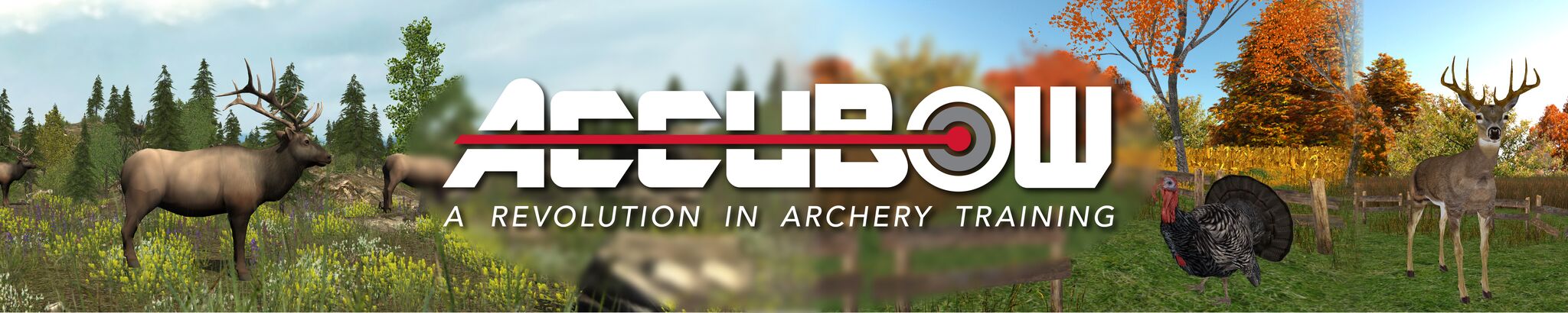 Amazon.com: AccuBow: 2.0 Carbon Fiber
