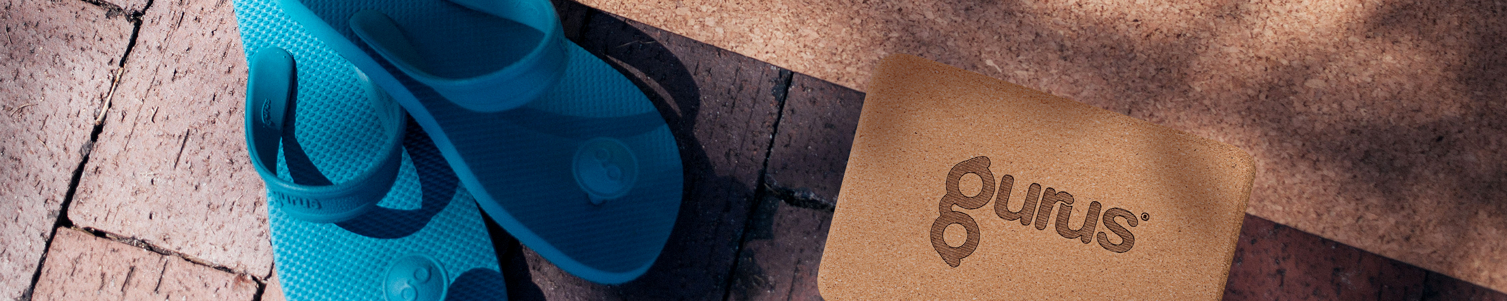 Amazon.com: Gurus: All Products