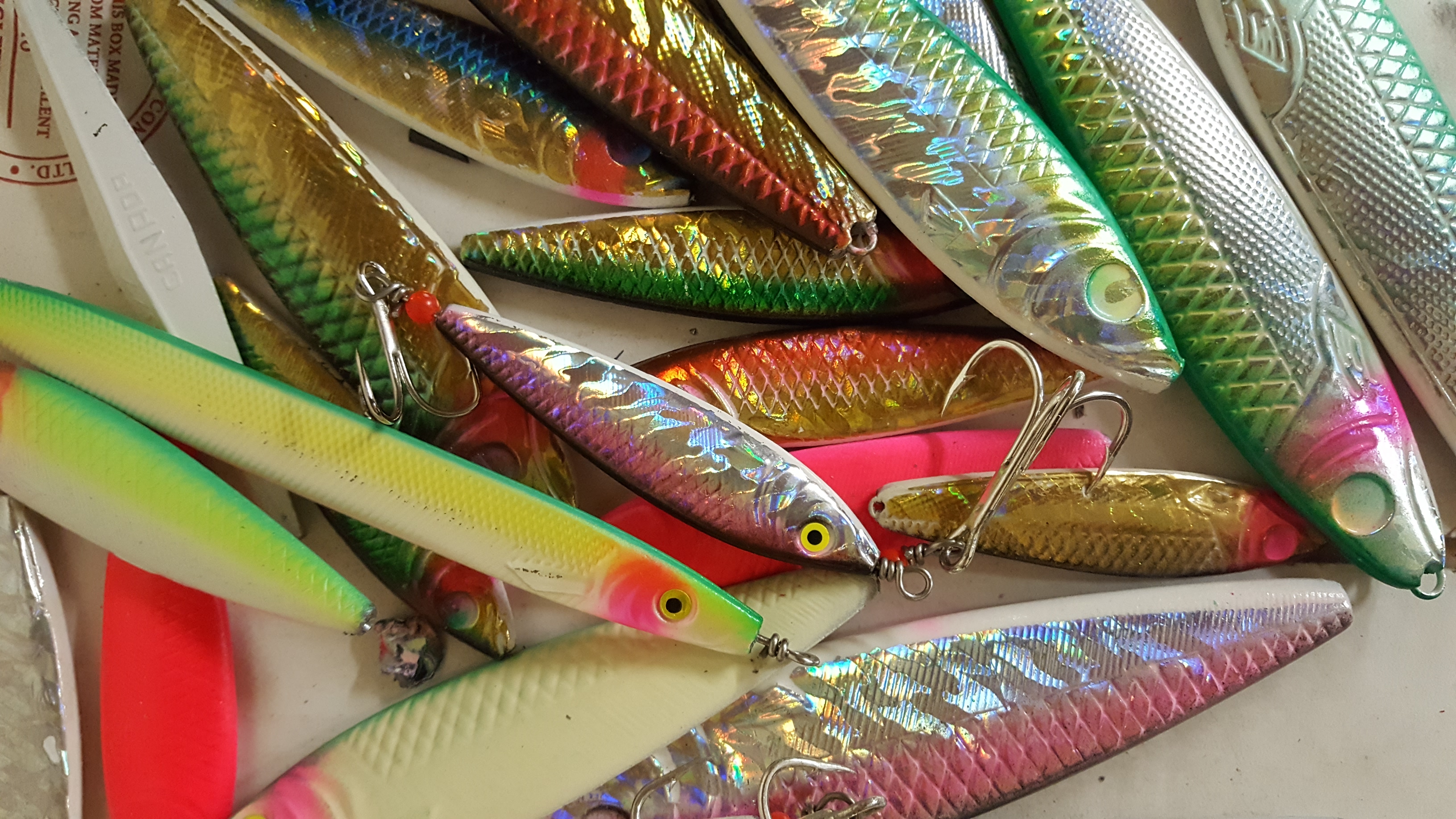 Amazon.com: Buzz-Bomb: SPINNOW