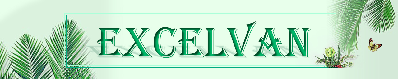 Amazon.com: Excelvan