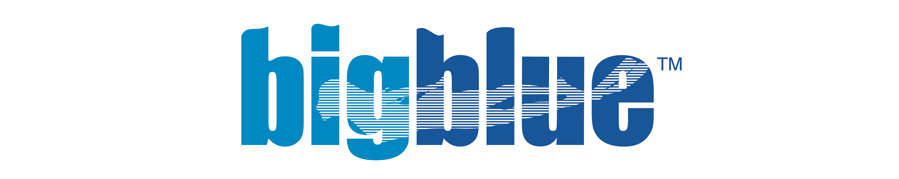 Amazon.com: Bigblue: Technical Lights