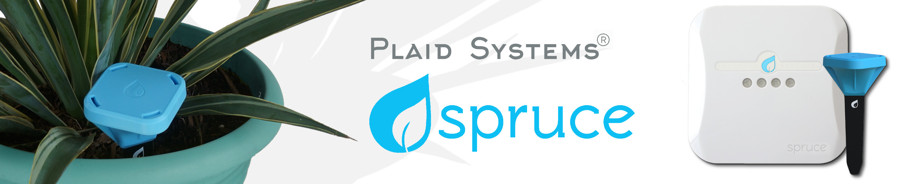 Amazon.com: Plaid Systems