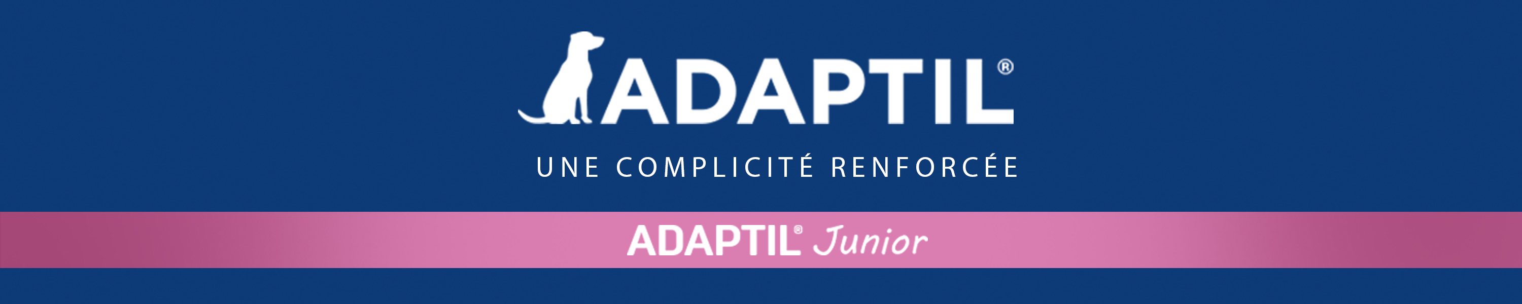 Amazon.fr: ADAPTIL: ADAPTIL JUNIOR