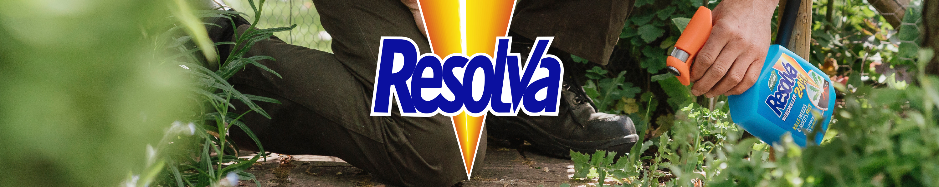 Amazon.co.uk: Westland Horticulture: Resolva