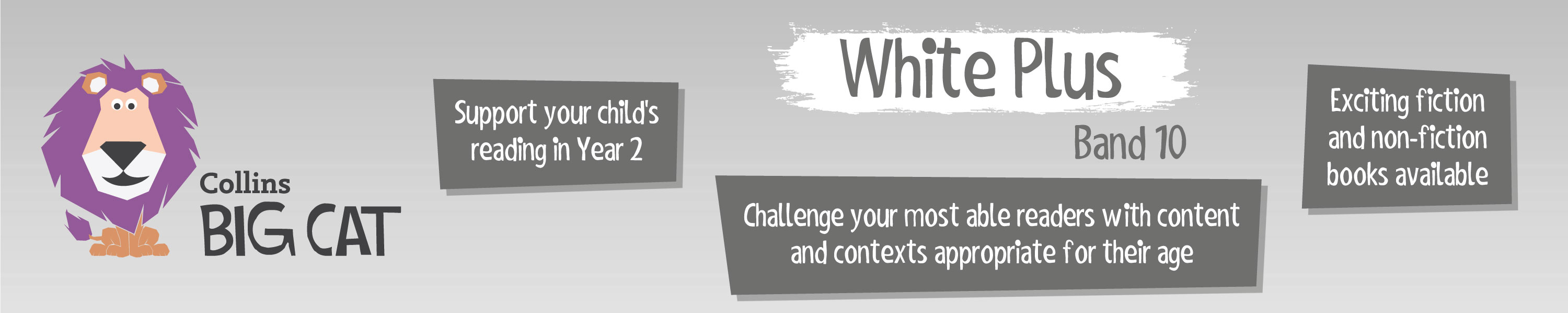 Amazon.co.uk: Collins Big Cat: White Plus Band - Year 2/P3