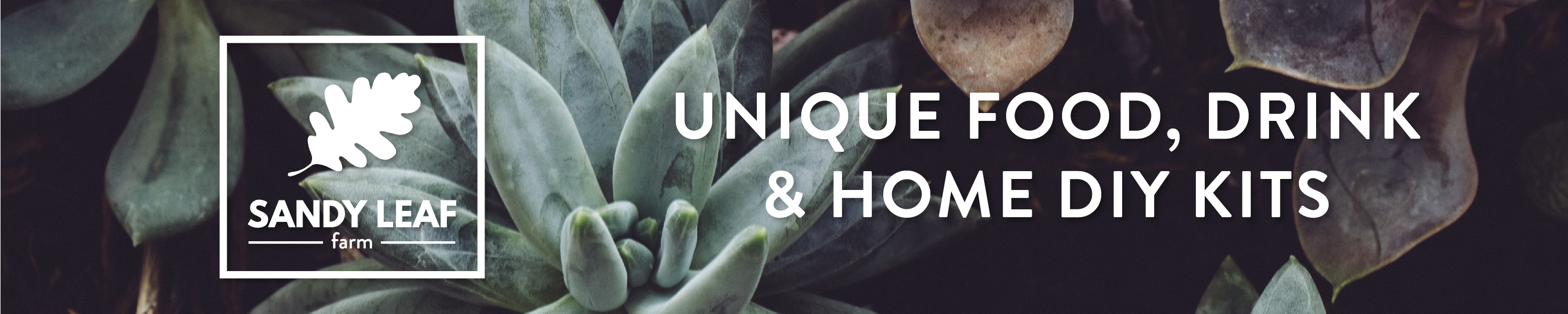 Amazon.co.uk: Sandy Leaf Farm