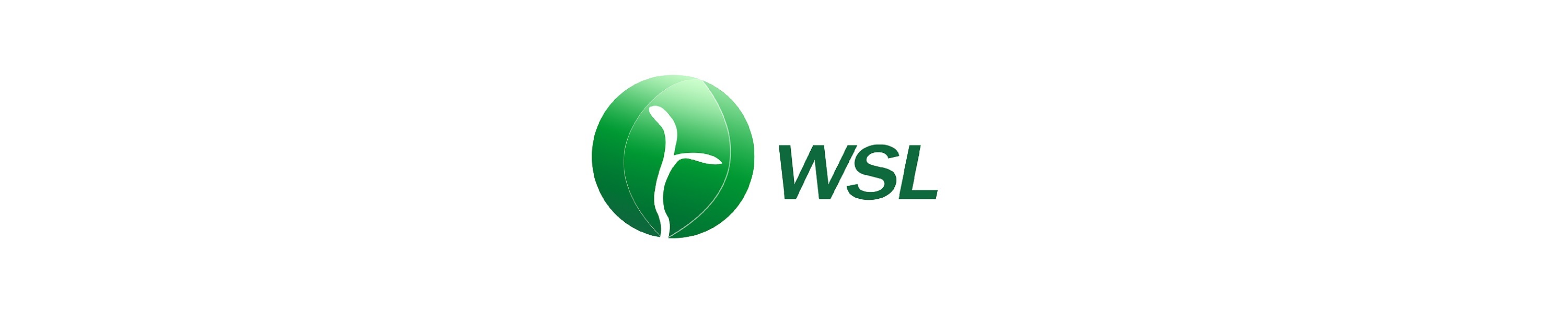 Amazon.co.uk: WSL: Kitchen