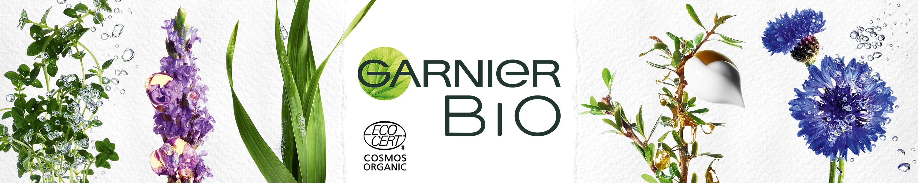 Amazon.de: Garnier Bio