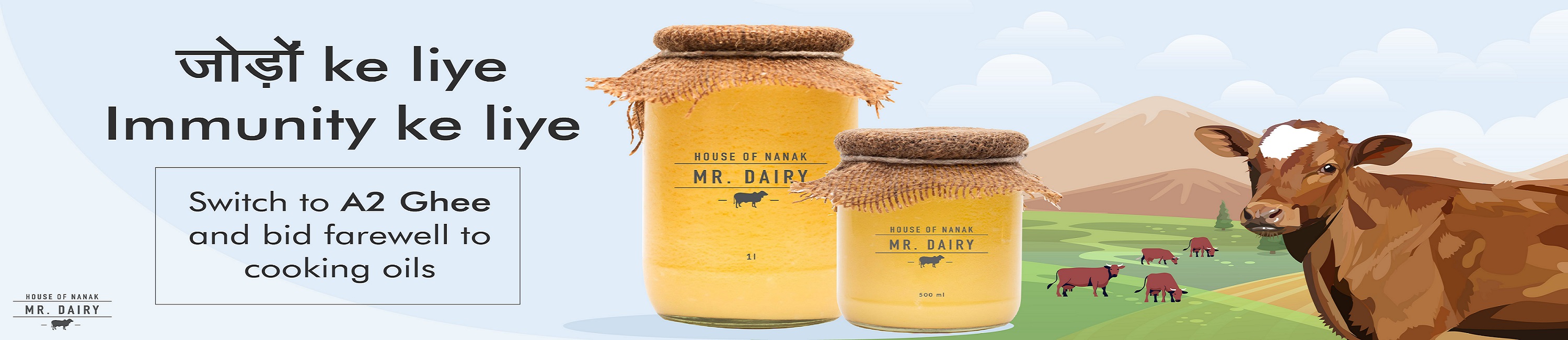 Amazon.in: MR DAIRY