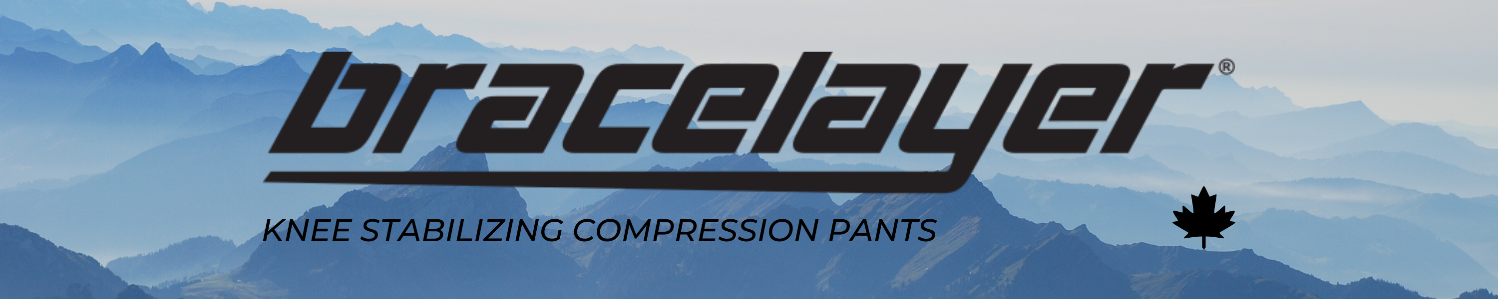 Amazon.ca: Bracelayer