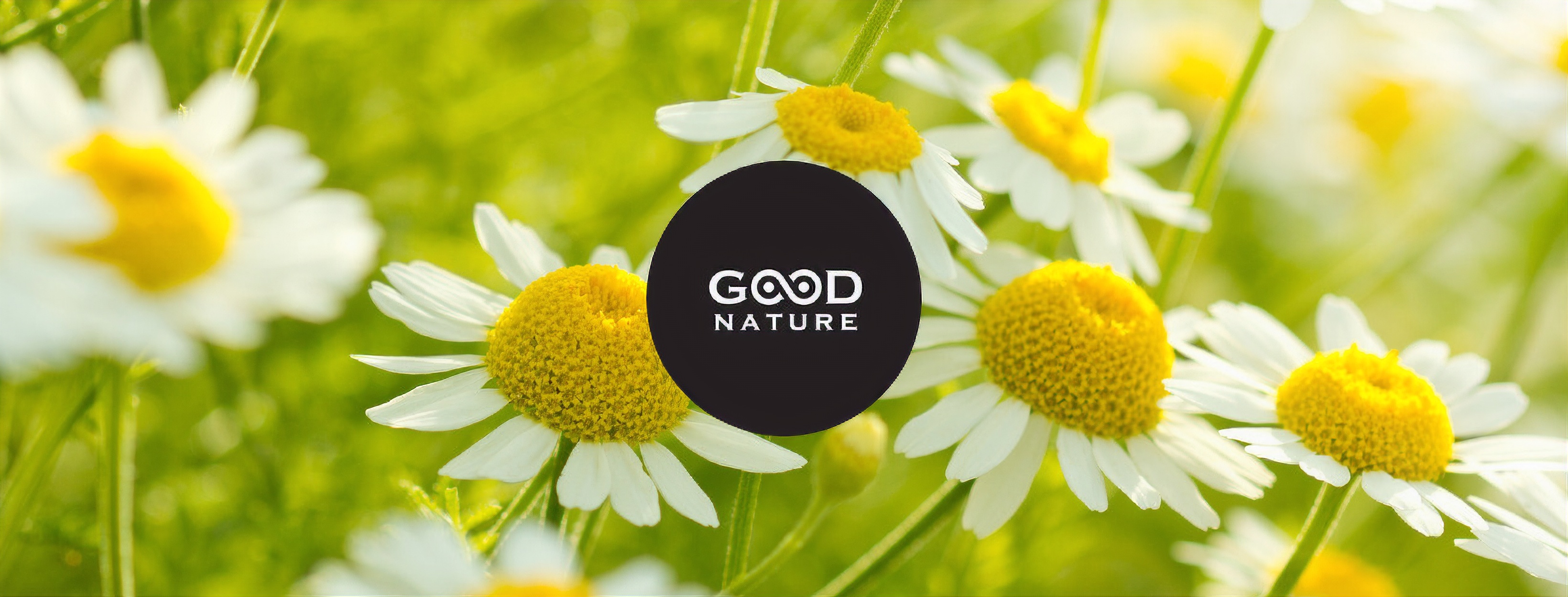 Amazon.com: Good Nature Tea: Pure Health Teas