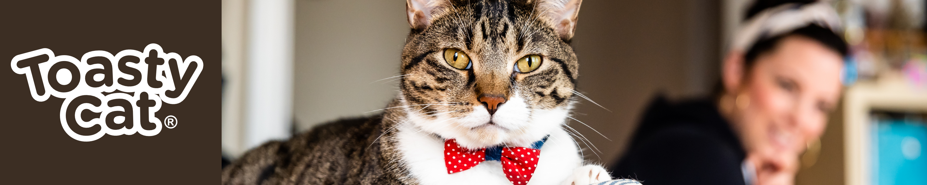 Amazon.com: TOASTYCAT