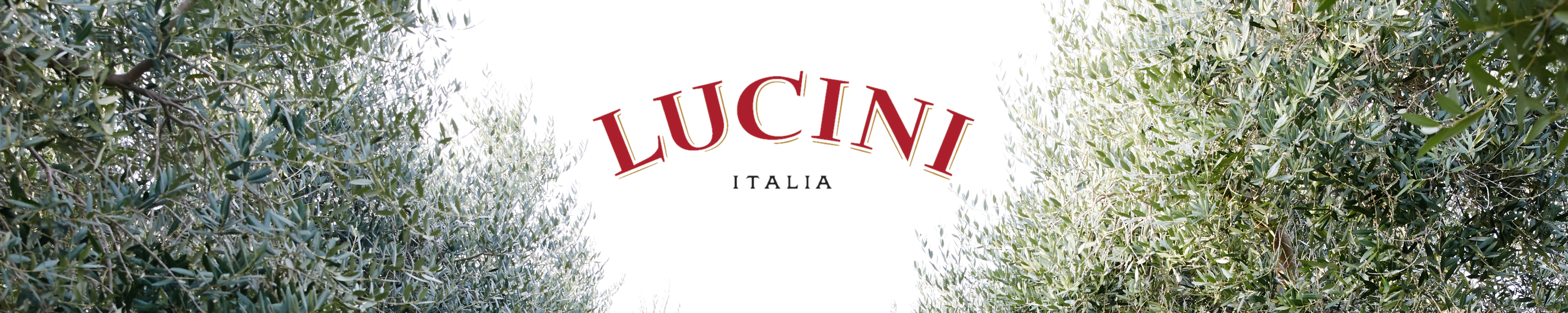 Amazon.com: Lucini Italia: Extra Virgin Olive Oil and Vinegar