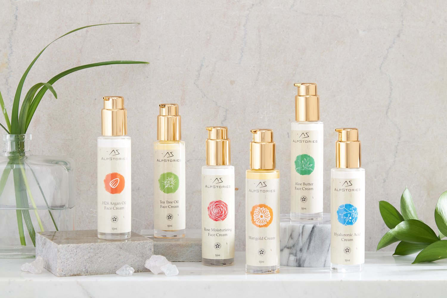 Amazon.com: AlpStories