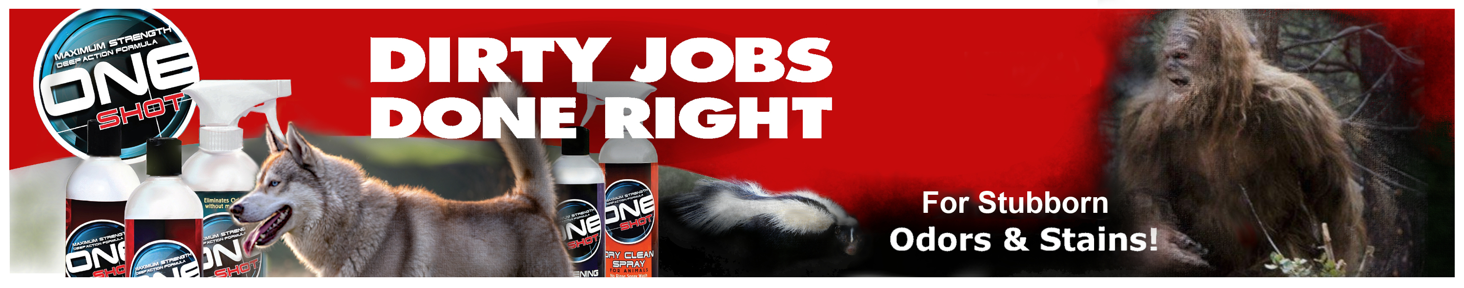 Amazon.com: Best Shot Pet: ONE SHOT ODOR & STAIN