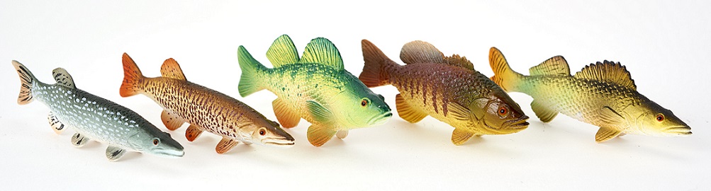 Amazon.com: Toy Fish Factory