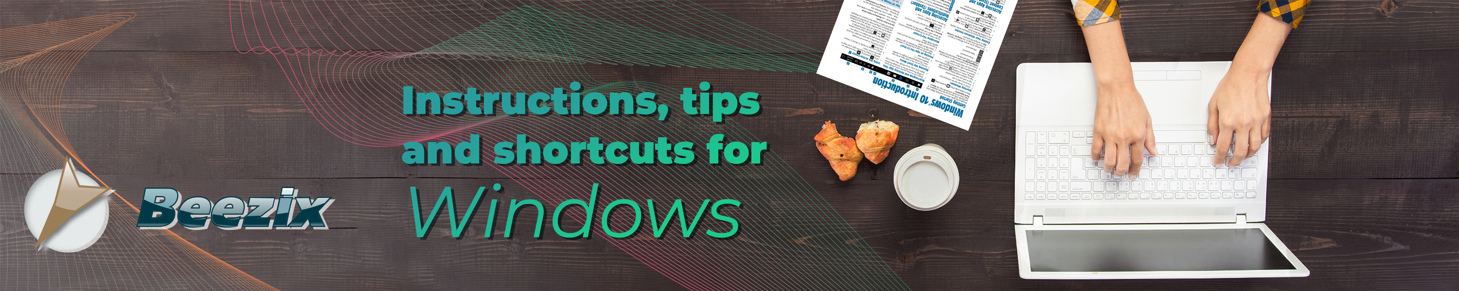 Amazon.com: Beezix Quick Reference Guides: Windows