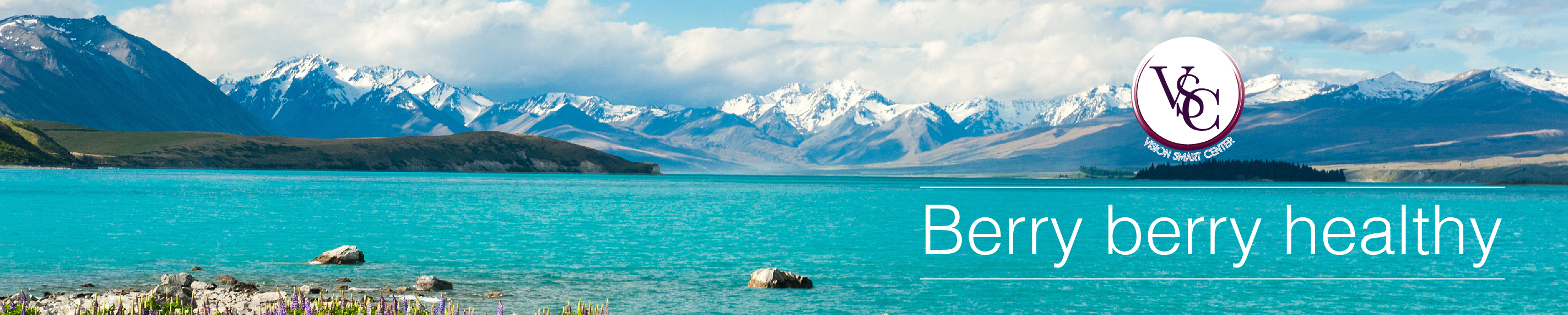 Amazon.com: Vision Smart Center