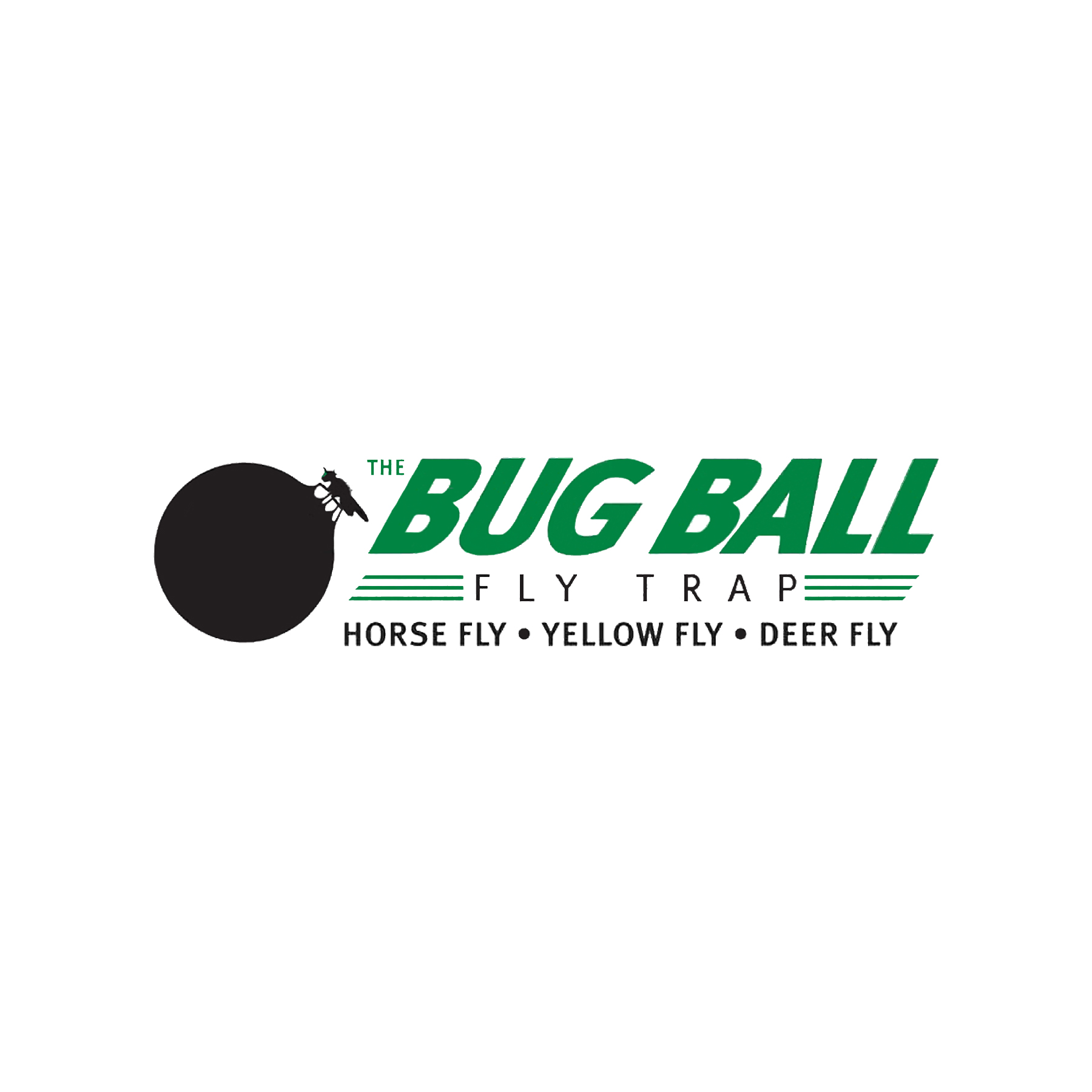 Amazon.com: Bug Ball: Bug Ball