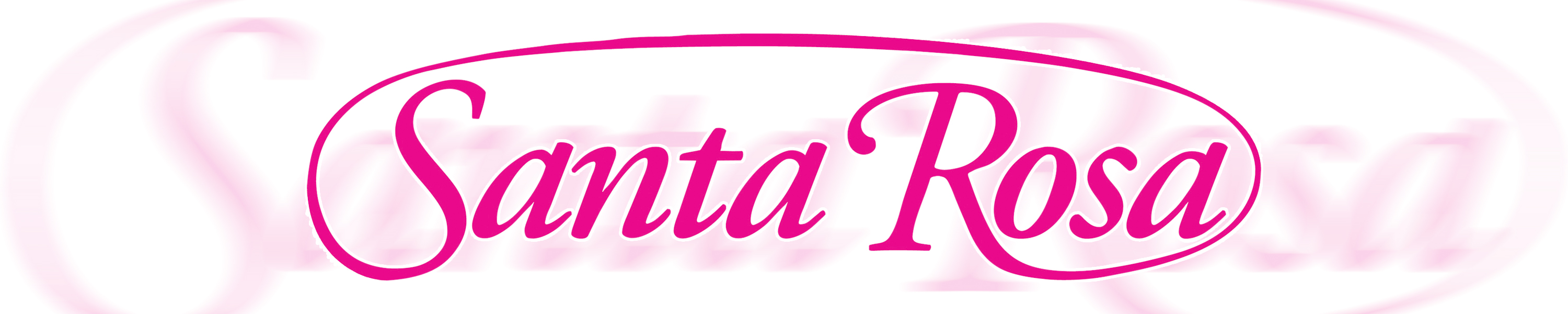 Amazon.com: Santa Rosa Folk Guitar Company