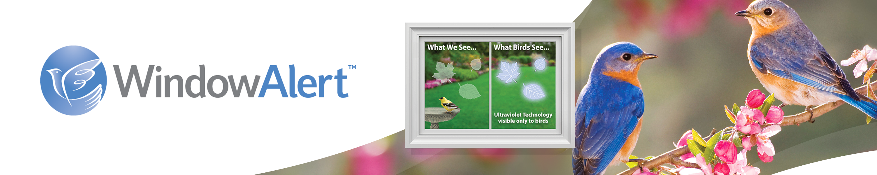 Amazon.com: WindowAlert