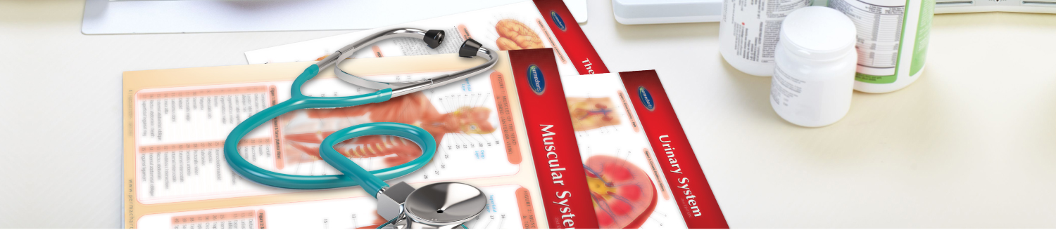 Amazon.com: Permacharts Quick Reference Guides: Medicine & Anatomy, Nursing Charts