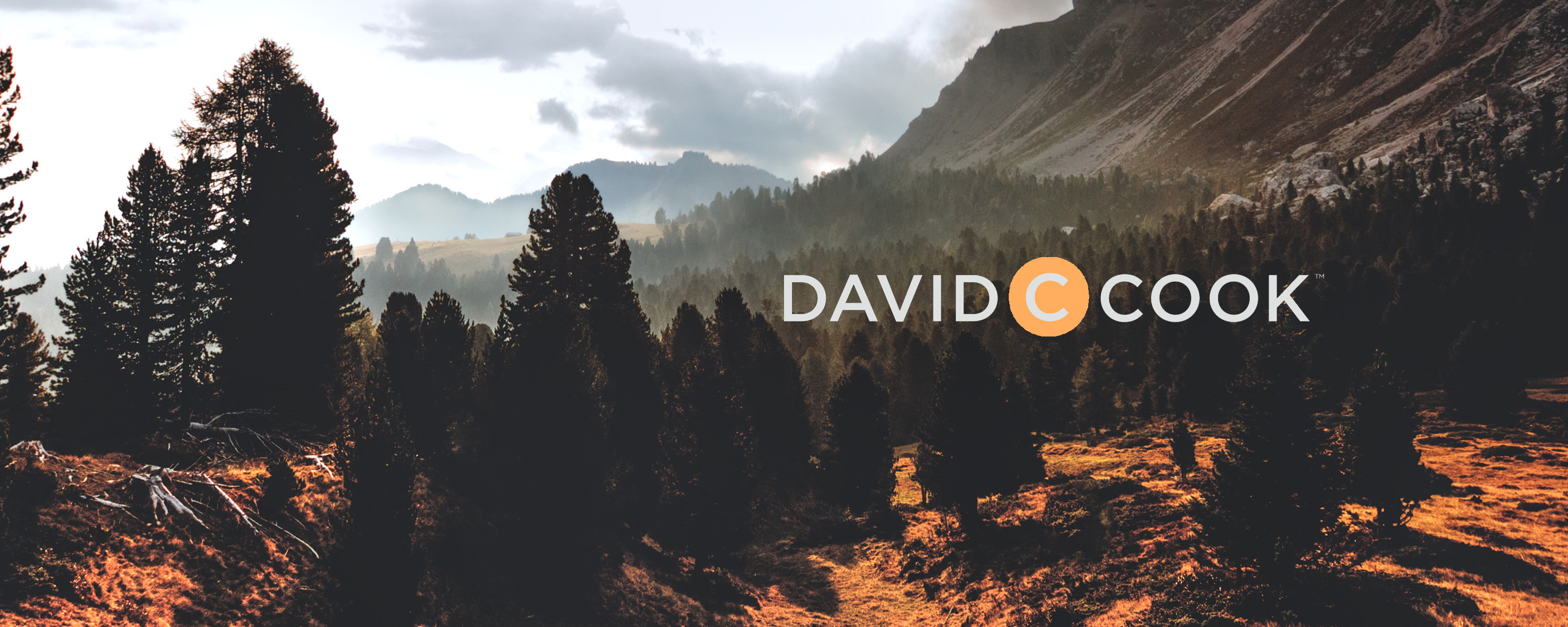 Amazon.com: David C Cook