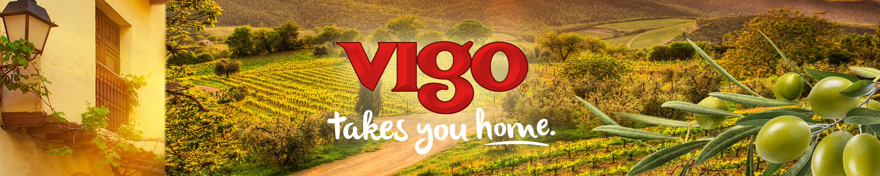 Amazon.com: Vigo Importing Company: Company History