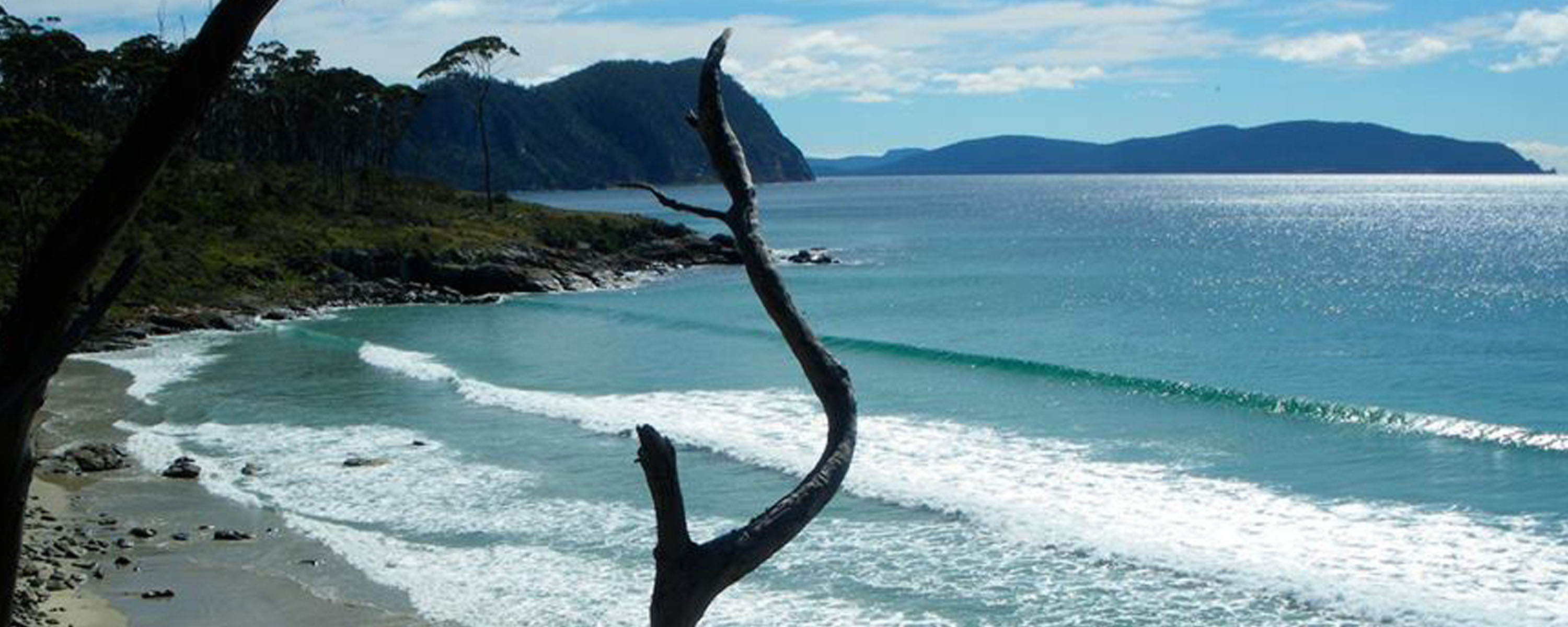 Amazon.com: The Fishing Tree: Neck Gaiter