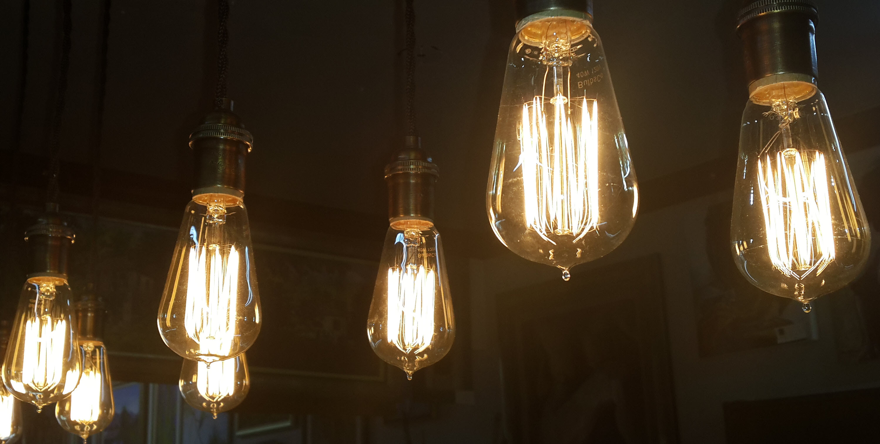 Amazon.com: Bunnit Bulbs