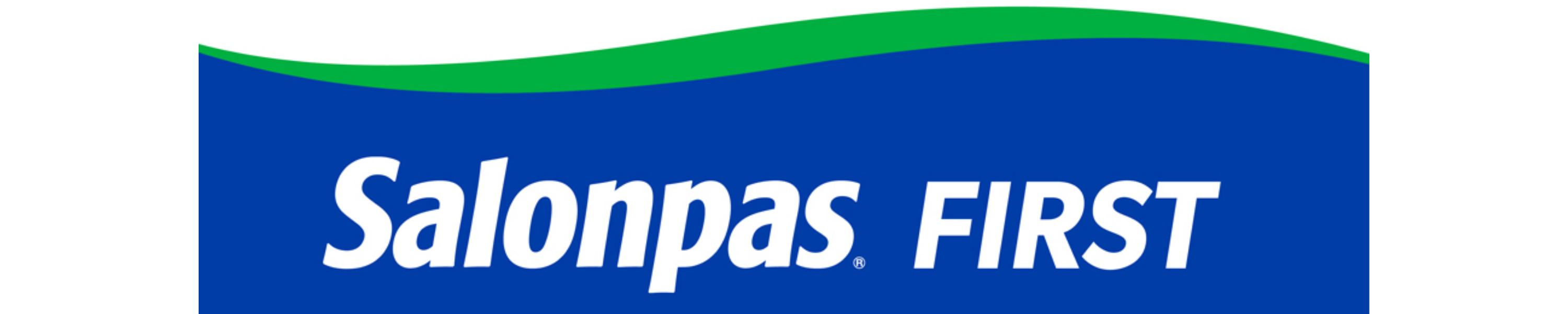Amazon.com: Salonpas
