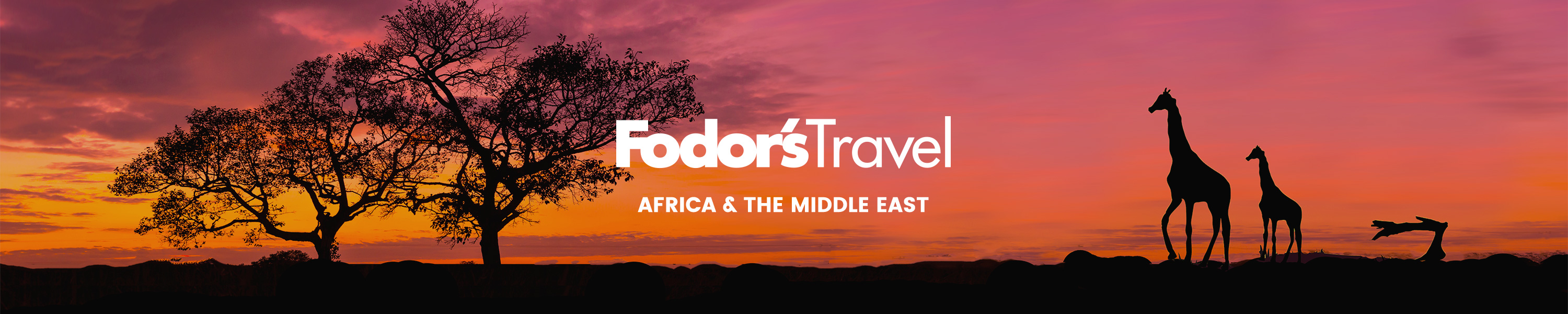 Amazon.com: Fodor's Travel: AFRICA & MIDDLE EAST