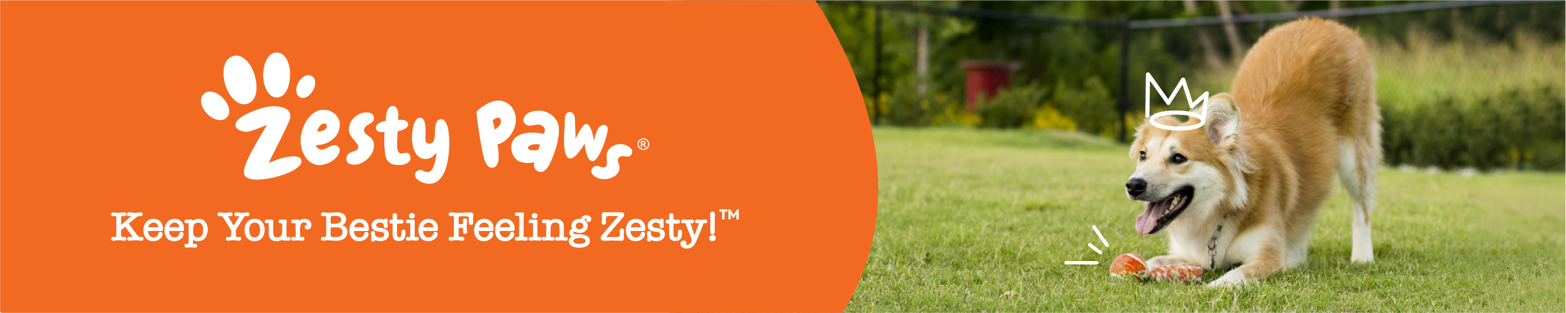 Amazon.com: Zesty Paws: About Us