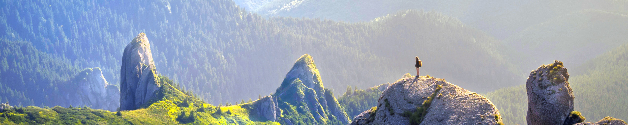 Amazon.com: Adalid Gear: Health