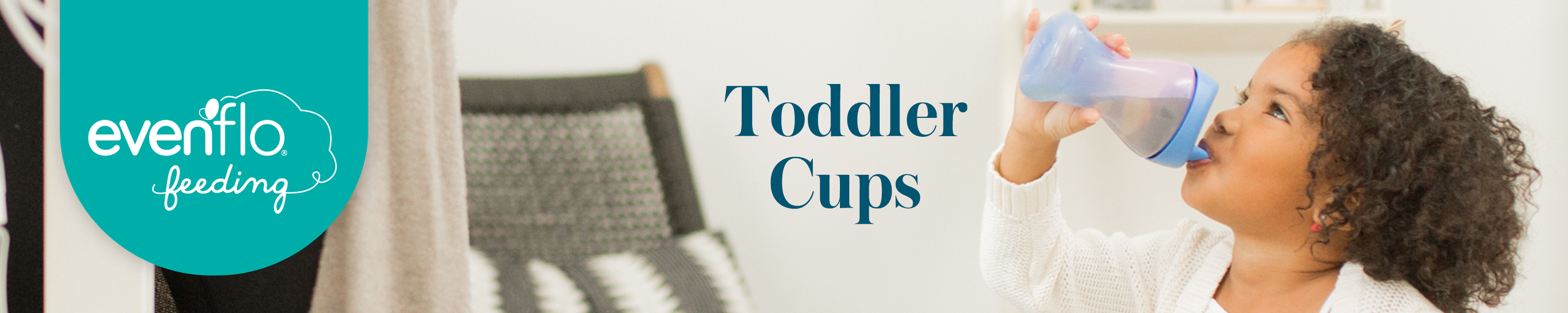 Amazon.com: Evenflo: Toddler Cups