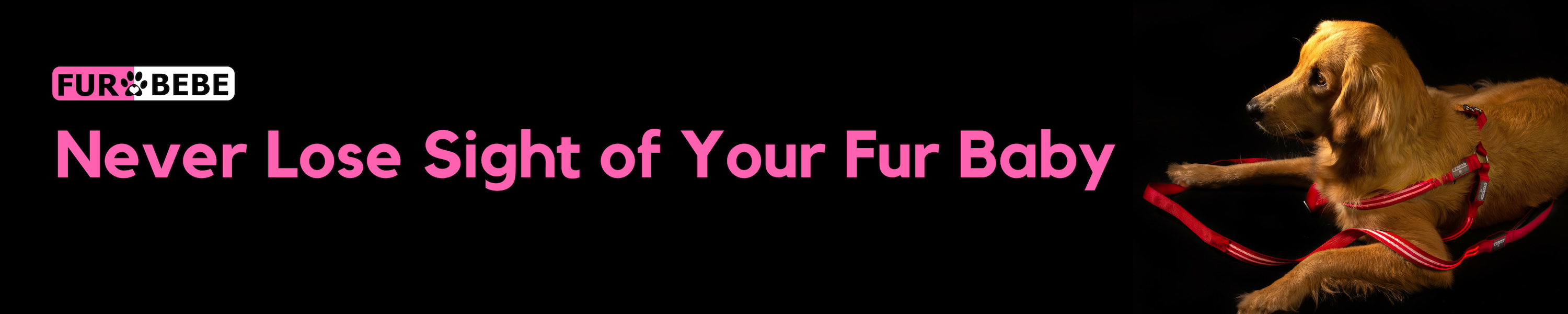 Amazon.com: Fur Bebe