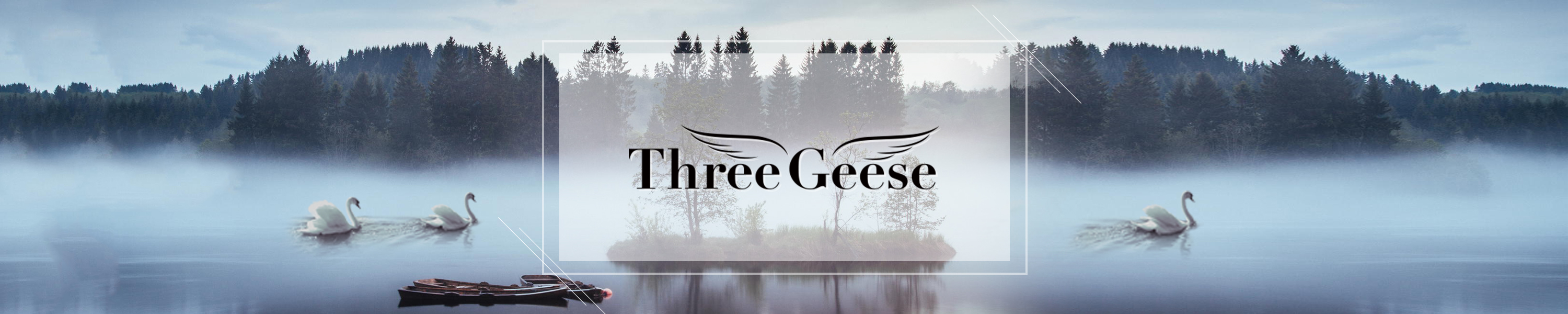 Amazon.com: Three Geese