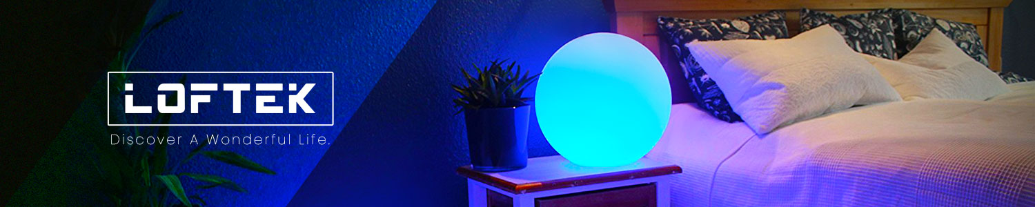 Amazon.com: LOFTEK: LED Flood Light