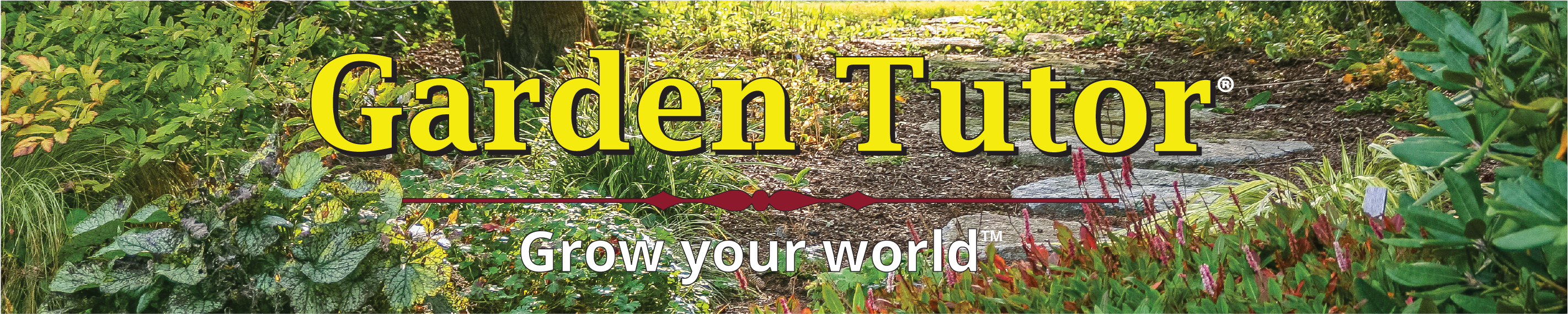 Amazon.com: Garden Tutor: Garden Design & Layout