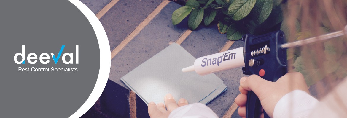 Amazon.co.uk: Russell IPM