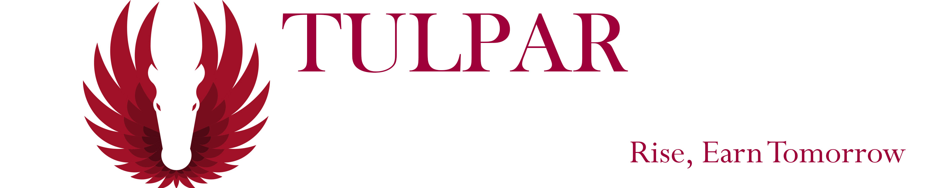 Amazon.co.uk: TULPAR